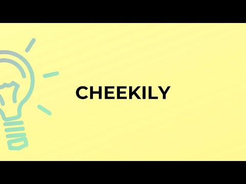 What is the meaning of the word CHEEKILY?