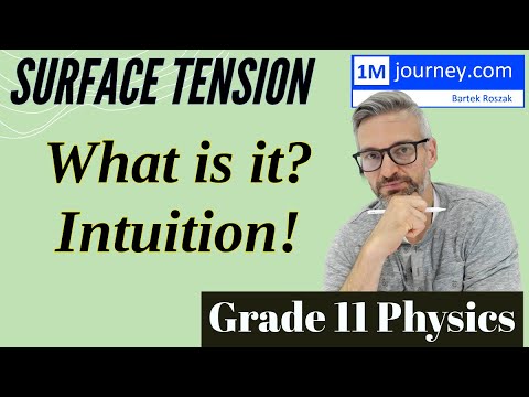 What is Surface Tension? Intuition!