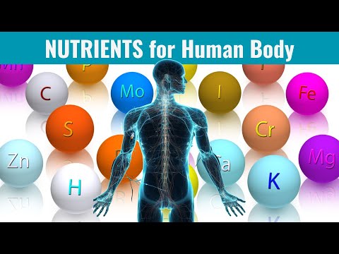 What are the Essential NUTRIENTS for Human Body?