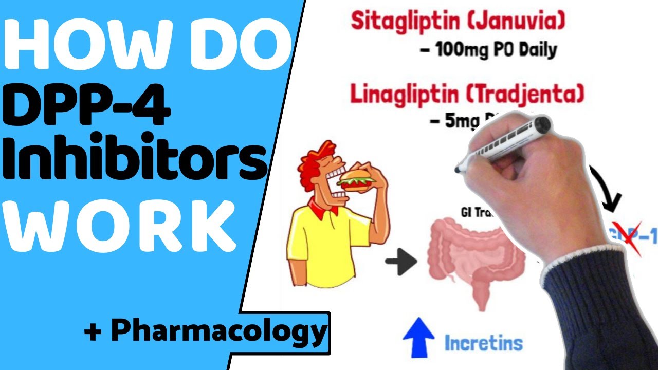 How do DPP-4 Inhibitors Work (EASY Pharmacology)