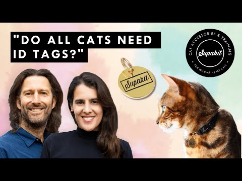 Cat ID Tags: Do All Cats Need Them?