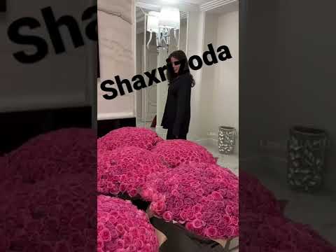 Shaxrizoda ismli qiz uchun zakaz Ismingizni ✍️