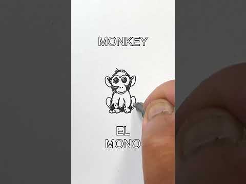 MONKEY . MONO Learn Spanish! ¡Aprenda Inglés! #drawing #foreignlanguage #spanish #ingles
