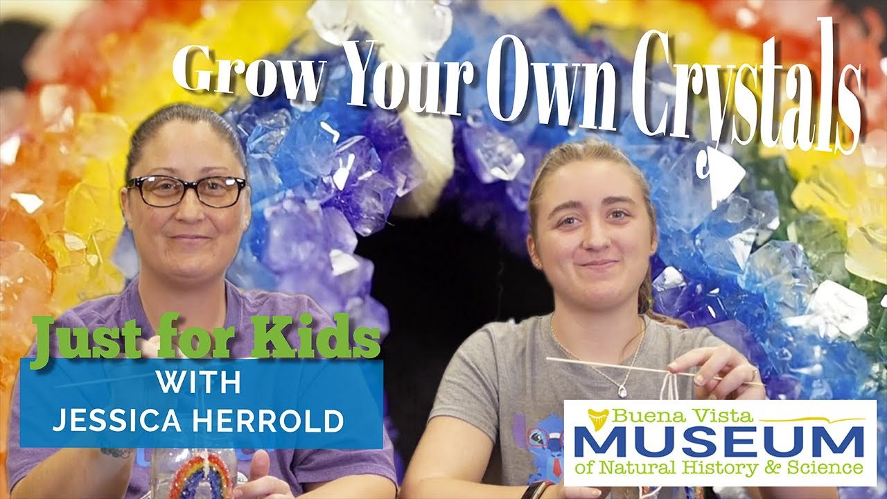 Just For Kids STEM Activities: Grow Your Own Crystals