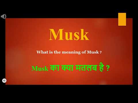 Musk meaning in Hindi | Musk ka kya matlab hota hai | daily use English words