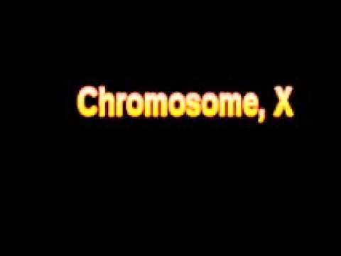 What Is The Definition Of Chromosome, X - Medical Dictionary Free Online