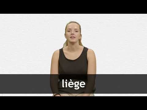 English Translation of “LIÈGE” | Collins French-English Dictionary