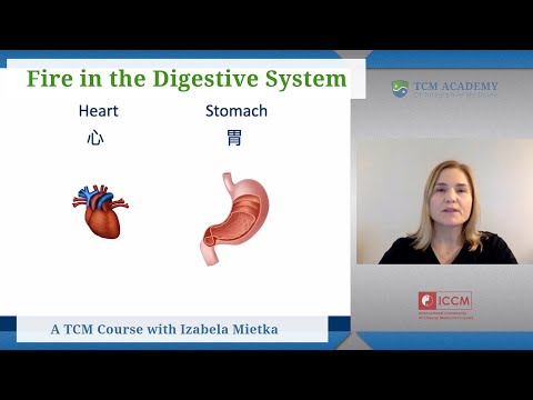 Heart and Stomach: Fire in the Digestive System, TCM Course with Izabela Mietka