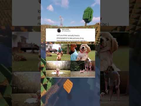 Funniest Animal Memes!