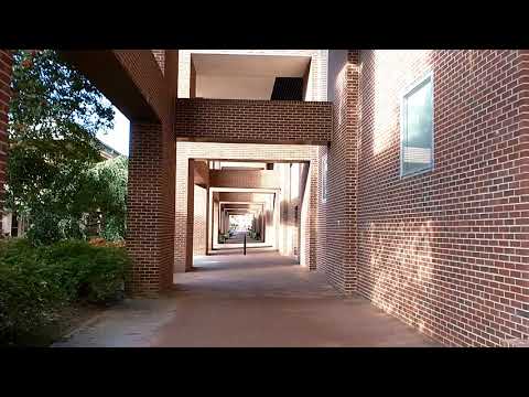 Running around Davis Library