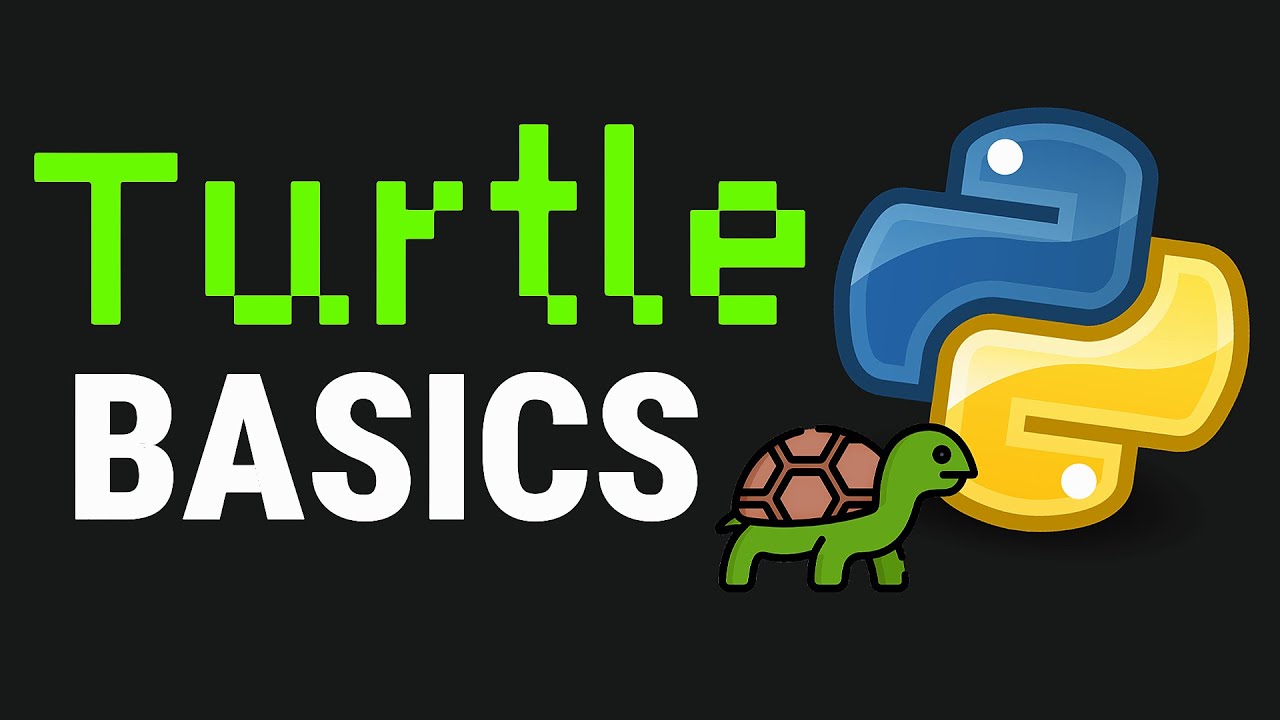 Learn Python Turtle: 10 Fun & Easy Examples for Beginners