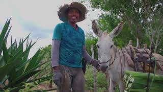 SENAI CIMATEC SERTÃO - SITE SENAI CIMATECSITE SENAI CIMATEC