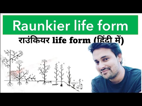 raunkier life forms based on bud explained||राउंकियर के अनुसार पादप जीवन प्रारूप for neet,csir 2023