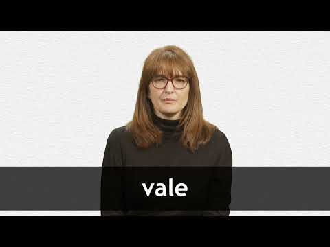 English Translation of “VALE” | Collins Spanish-English Dictionary