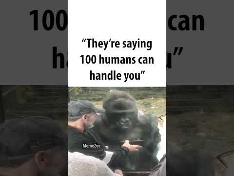 1 gorilla vs 100 men