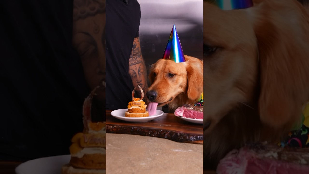 Dog Cake ft. @ChefRush