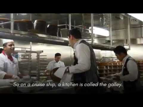Inside Carnival's Panorama massive cruise ship kitchen operations.