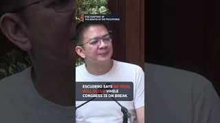 Escudero: Why rush us to convene for Sara Duterte's impeachment trial?
