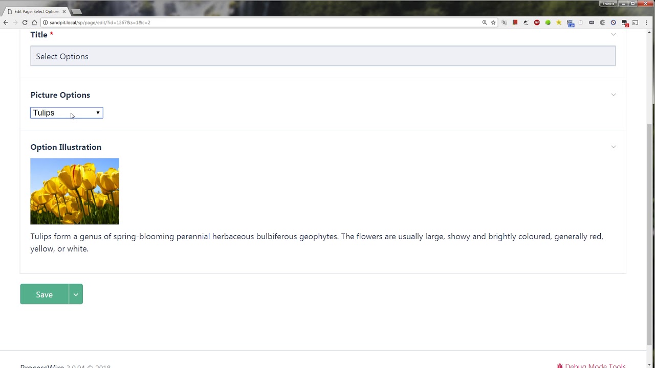 Illustrated Options Runtime Markup