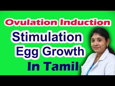 Ovulation 🌇🌇Induction Stimulation Egg Growth Successful Protocols Success Rate IUI IVF in Tamil