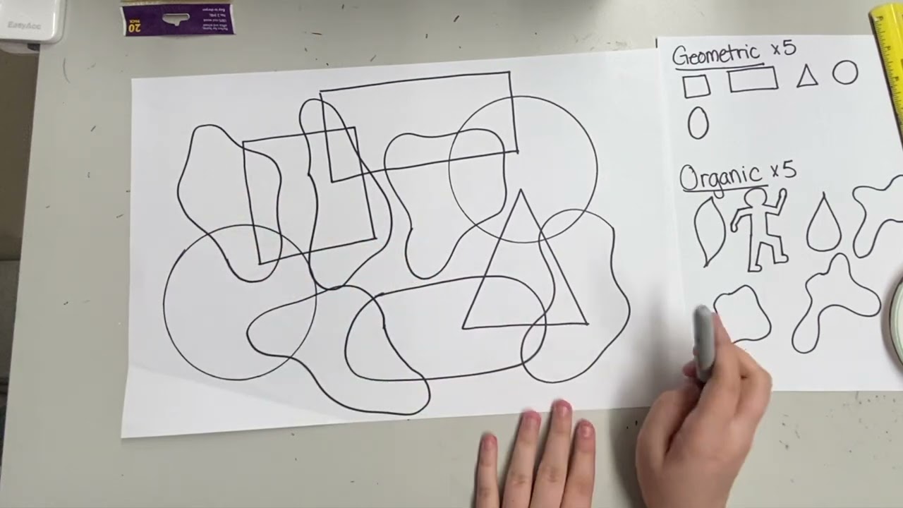 Organic And Geometric Shapes - 3rd Grade Art