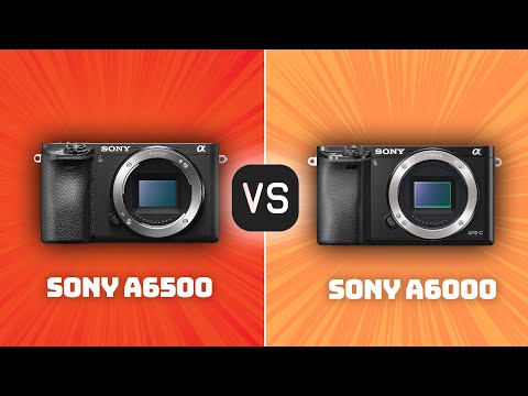Sony A6500 vs Sony A6000: Which Camera Is Better? (With Ratings & Sample Footage)
