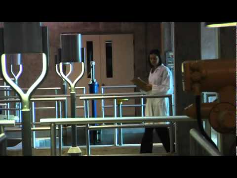 Why Work for Niagara Region: Process Engineer