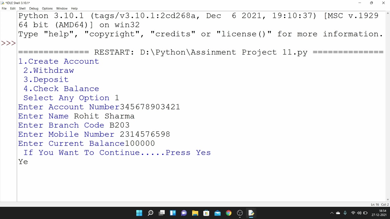 Bank Management System Project in Python With Source Code | Windows 11