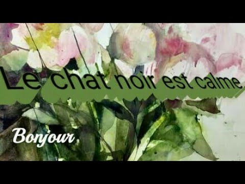 Learn French : "Le chat noir est calme."