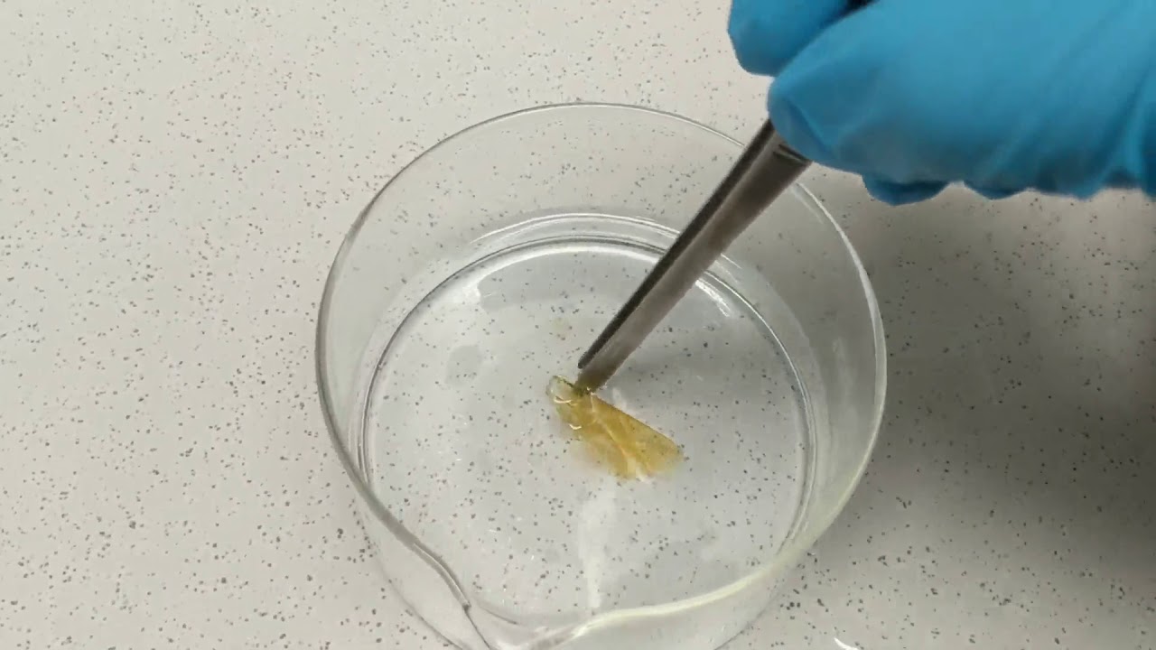 Thermoresponsive Shape-Memory Hydrogel Actuator