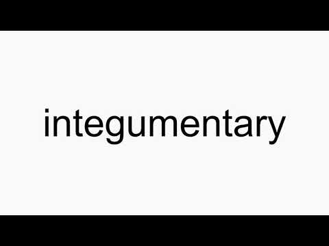 How to pronounce integumentary