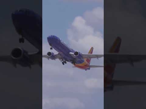 Southwest Airlines lays off over 1,000 workers #national #business #aviation