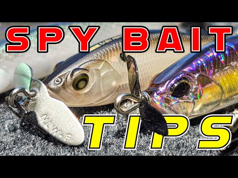 Spy Bait Fishing: Everything You Need To Know (And Why You Should Give Them Another Try)