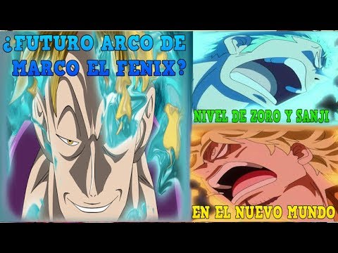 Kilo kilo no mi | One Piece Revolution Amino