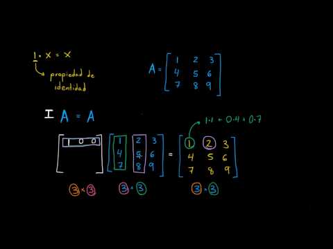 Introducción a la matriz identidad (video) | Khan Academy