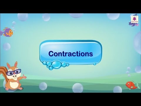 Contractions | English Grammar & Composition Grade 3 | Periwinkle