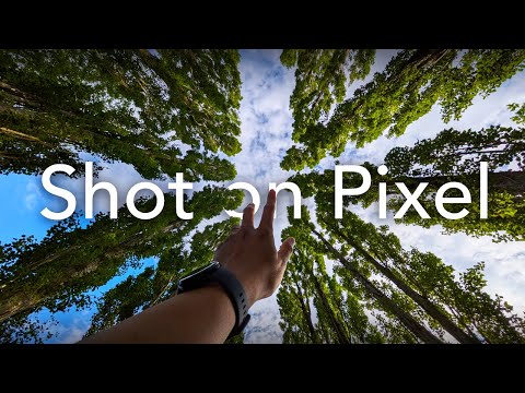 Pixel 8a Camera: The Best in its Class?