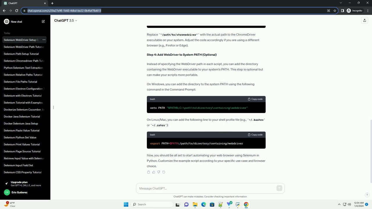 selenium path setting