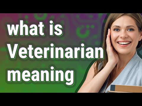 Veterinarian | meaning of Veterinarian