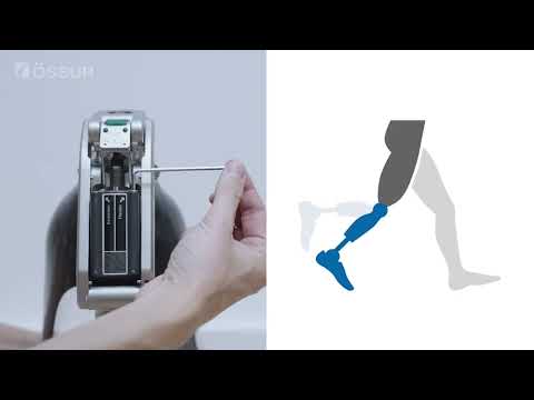 Artificial Leg Limb - Artificial Limbs Latest Price, Manufacturers ...