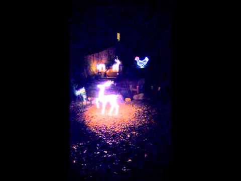 Shameless video of backyard lights « Joe Abbott's Weblog