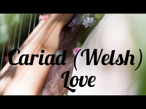 Cariad (Welsh) Love