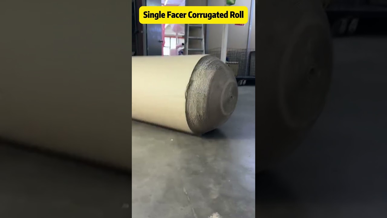 Single Facer Corrugated Roll ASMR #sumopack # #efficientpackaging #asmr