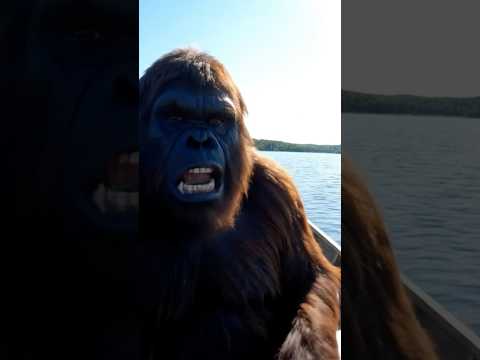 Only boat payments #ai #funny #vlog #gorilla #vlogger #monkey #vlogging #comedy #bigfoot