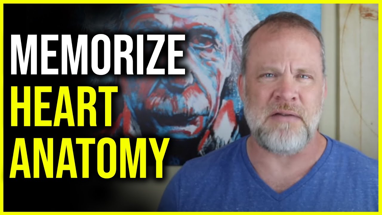 Memorize Heart Anatomy and Blood Flow for Pre Med Students