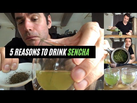 5 Reasons to Drink Sencha Green Tea