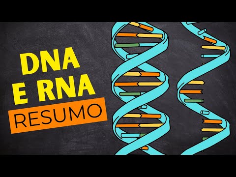 DNA E RNA - PRINCIPAIS informações sobre os ÁCIDOS NUCLEICOS