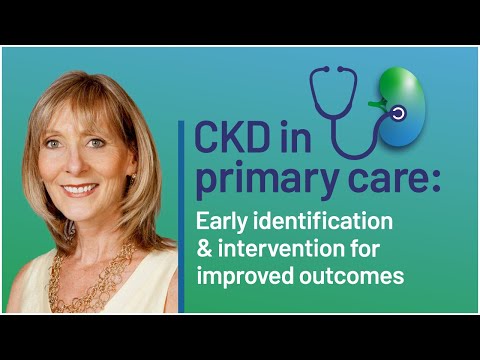 How can primary care be supported to bridge the chronic kidney disease (CKD) gap?