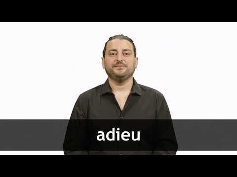 English Translation of “ADIEU” | Collins French-English Dictionary