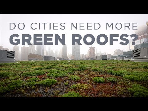 How Green Roofs Can Help Cities | NPR